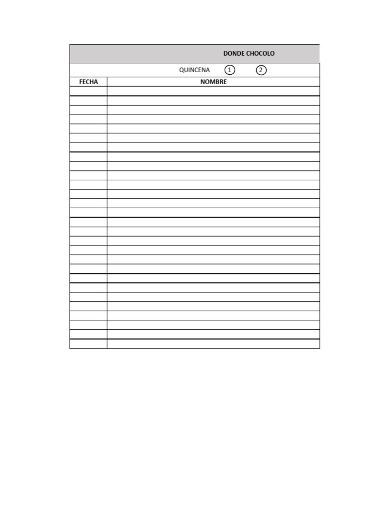 Formato Diario Donde Chocolo | PDF