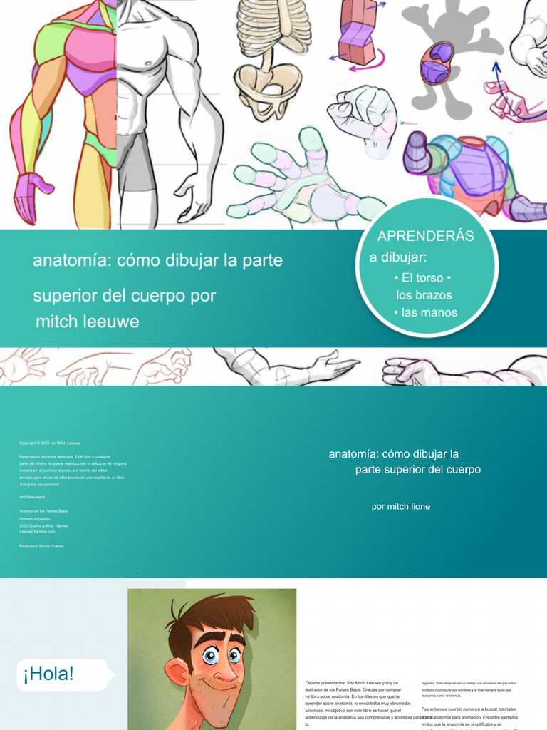 Anatomia Parte Superior Del Cuerpo | PDF