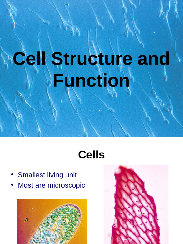 Cell Structure Function | PDF