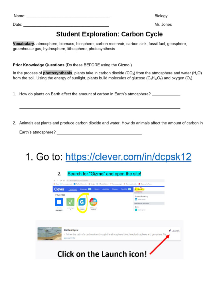 Carbon Cycle Activity B | PDF