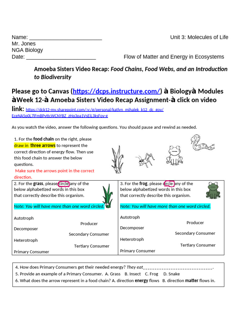 MOD Video - Recap - of - Food - Webs - Energy - Pyramids - and - Intro ...