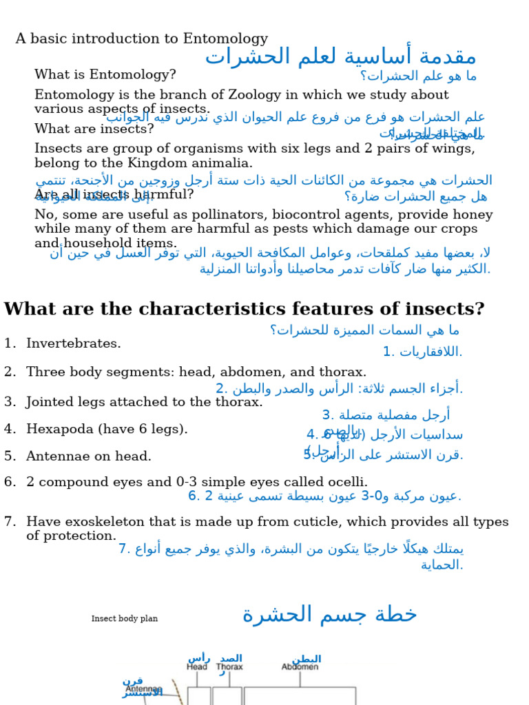 Introduction to Archeognatha Insects | PDF | Insects | Science ...
