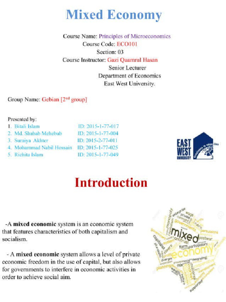Mixed Economy | PDF