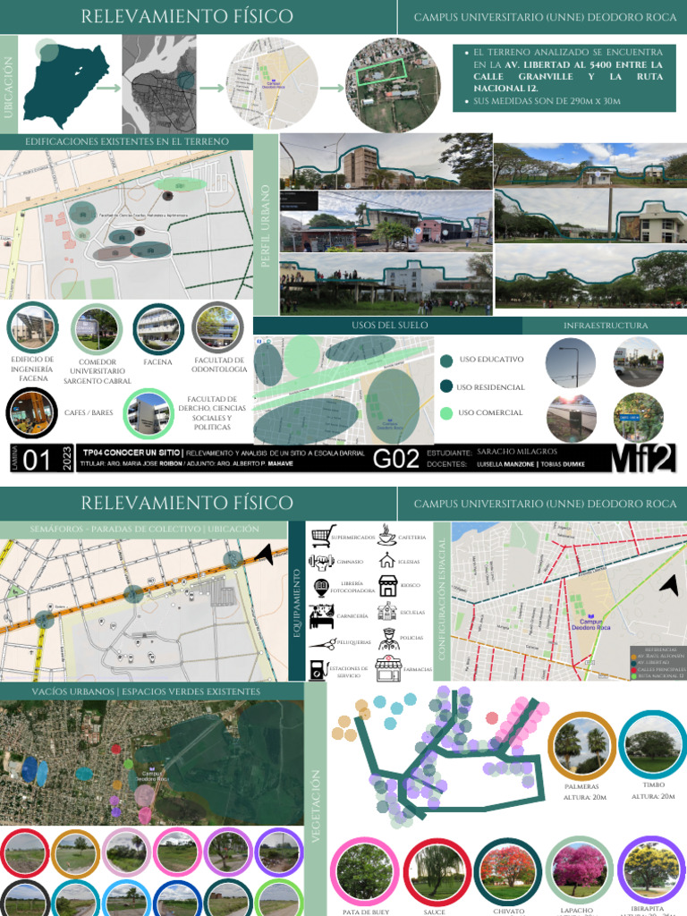TPN 4 Mfii C2 G12 Saracho Milagros Valentina | PDF