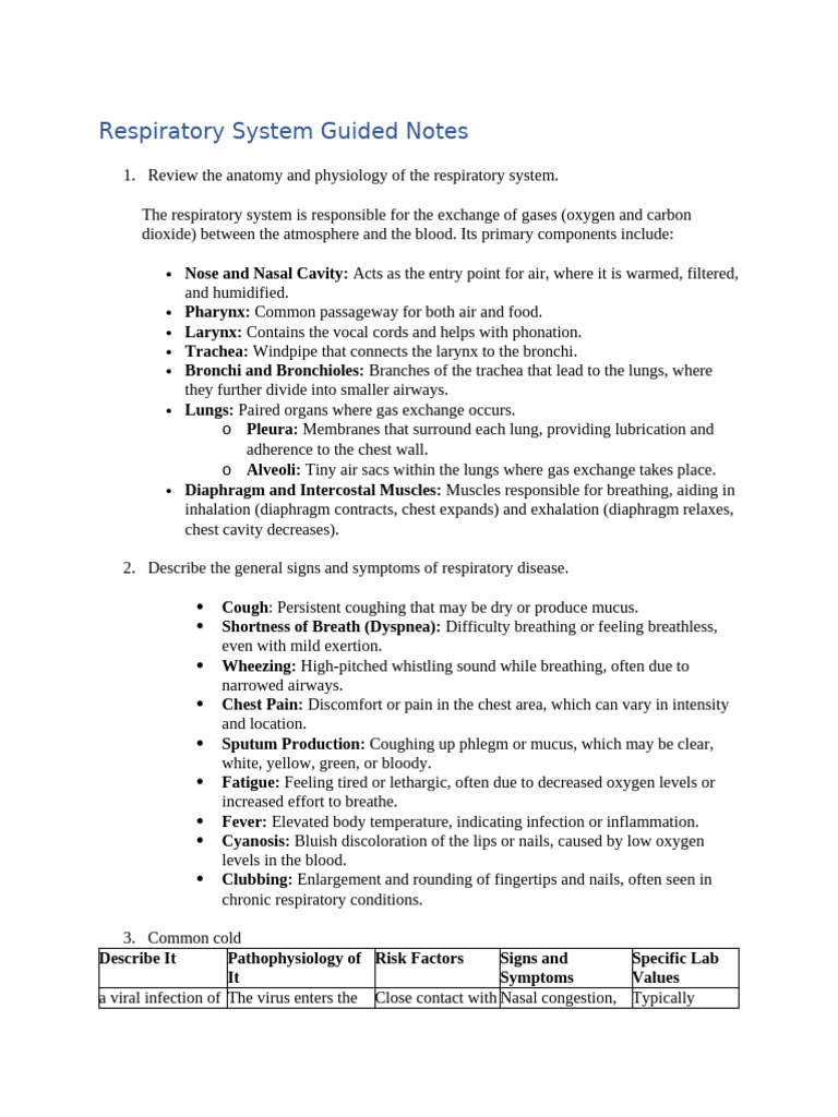 NU606 W8 Respiratory System Guided Notes Final | PDF