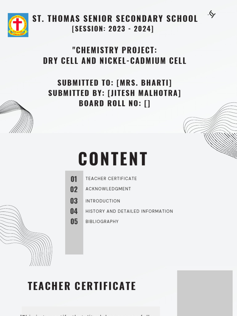 Chemistry Project Work Dry Cell | PDF