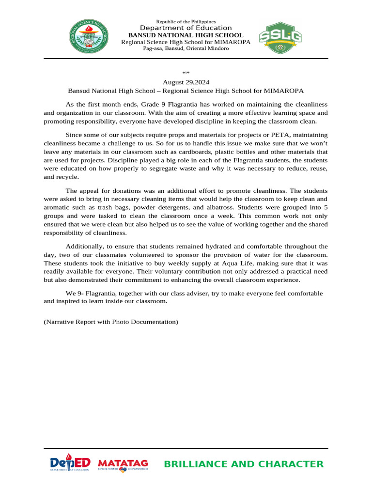 Narrative Report Template | PDF