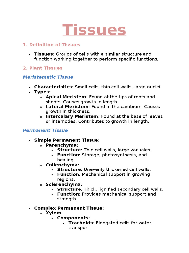 Tissues Class 9 Notes With Flashcards | PDF