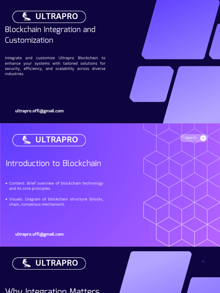 Blockchain Integration And Customization Pdf Infographics Computing