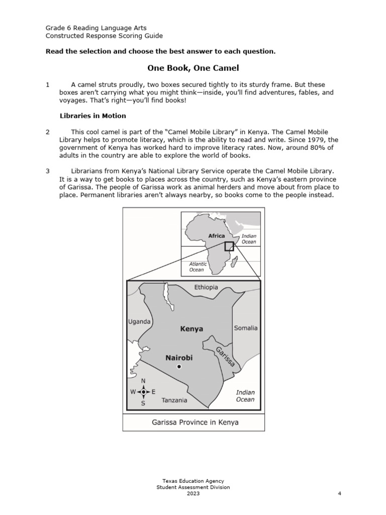 ECR Mobile Camel Library | PDF