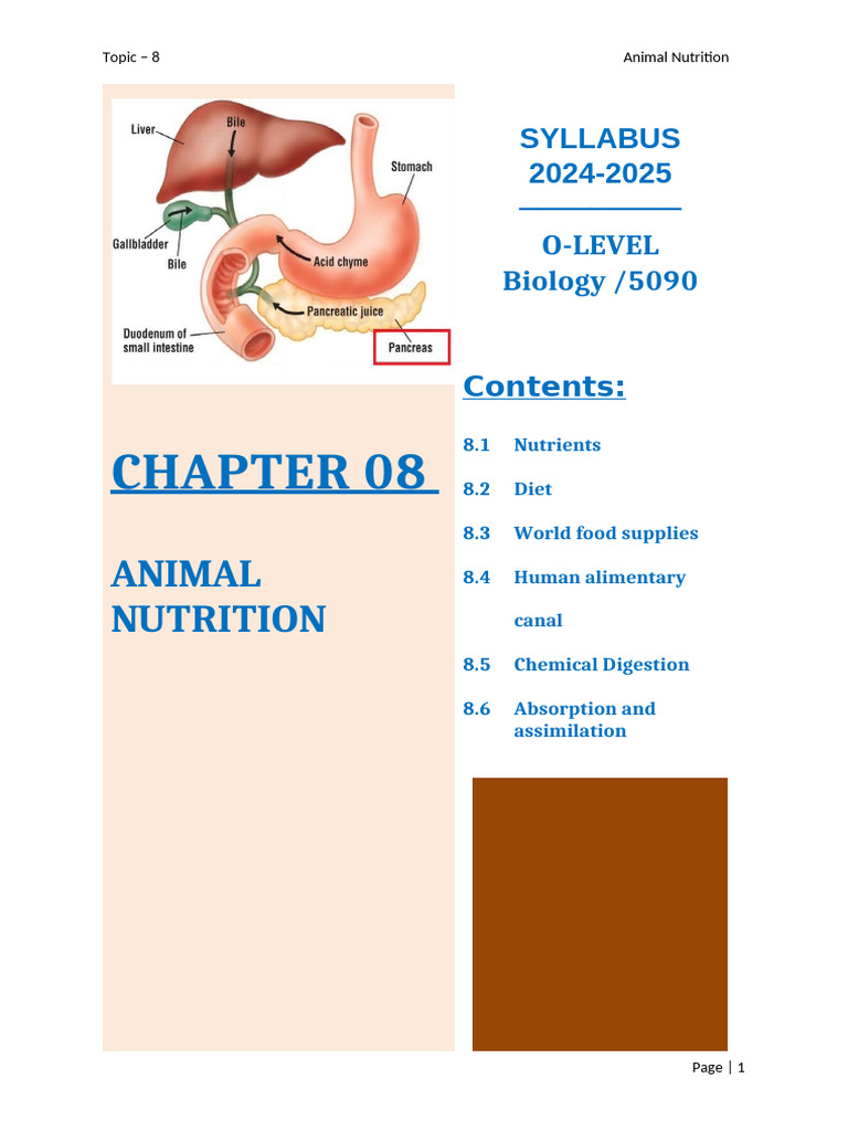 Topic 5 Animal Nutrition | PDF