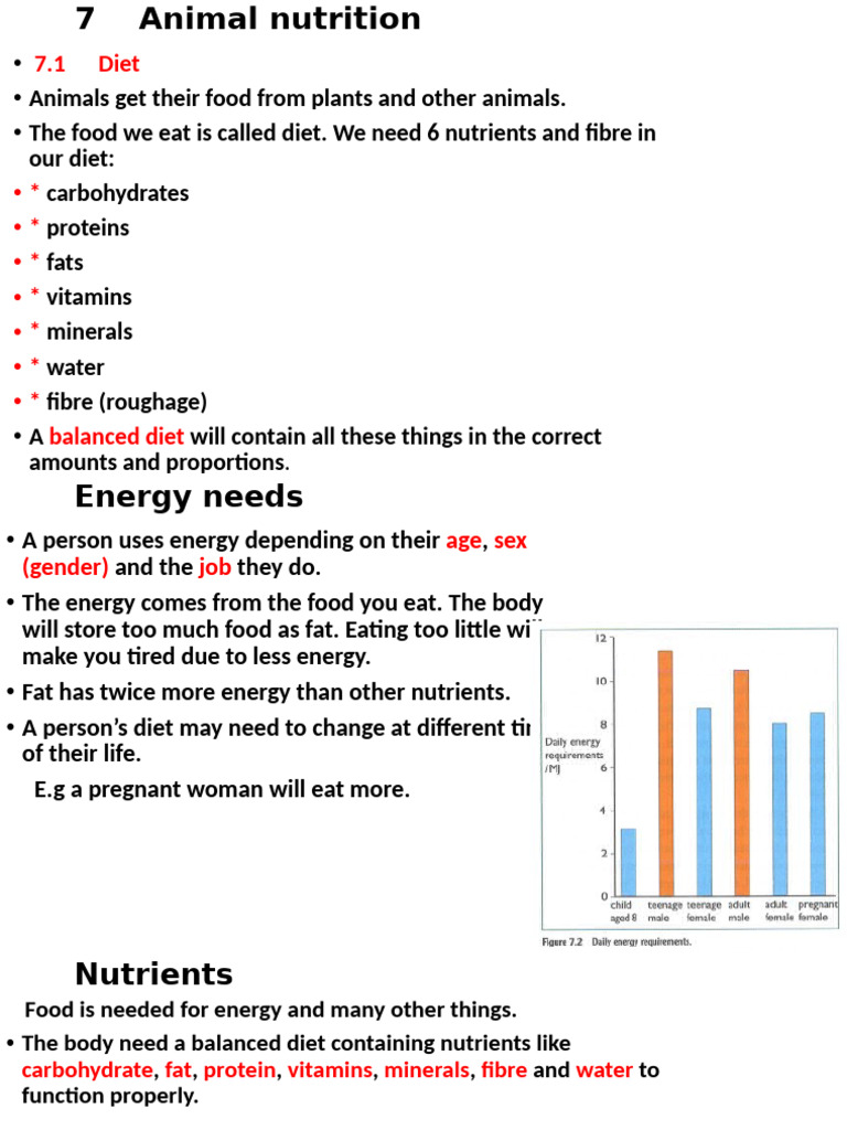 7 Animal Nutrition | PDF