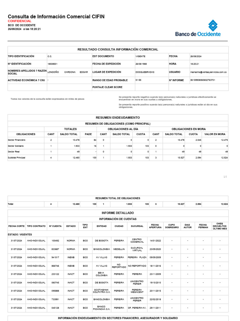 Consulta Informacion Comercial CIFIN | PDF