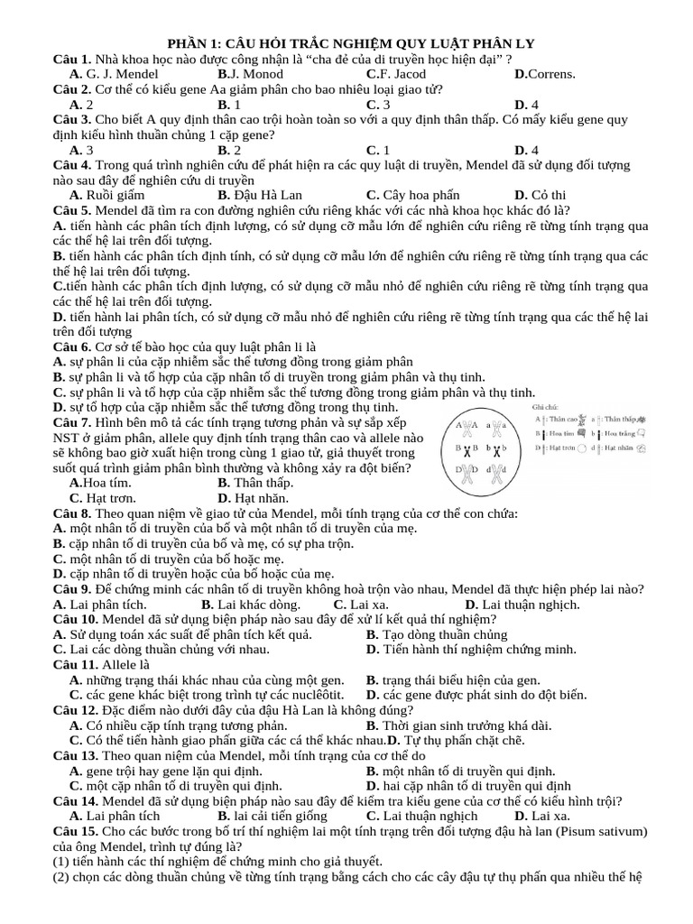 Phần I Câu Hỏi Trắc Nghiệm Quy Luật Phân Ly Đề | PDF
