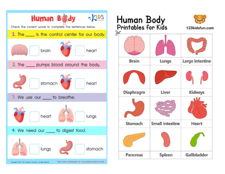 Science Grade 4 | PDF