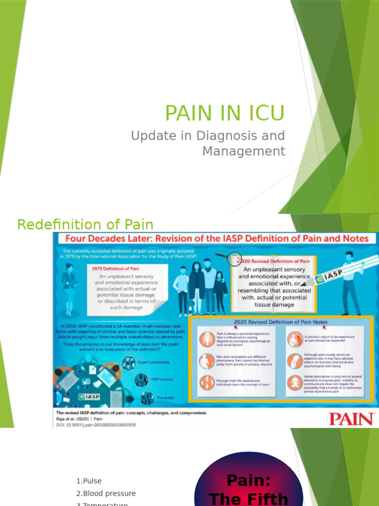 Pain in Icu | PDF | Pain | Intensive Care Unit