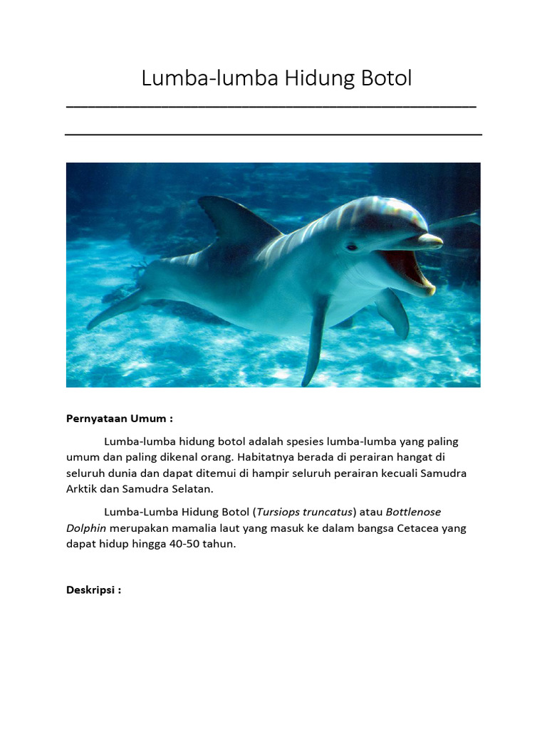 Teks Observasi Lumba-lumba Hidung Botol | PDF