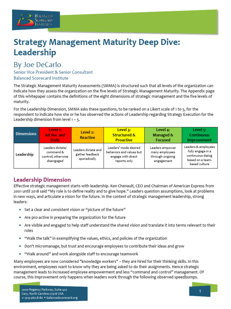 BSI - Strategy Management Maturity Deep Dive - Leadership | PDF