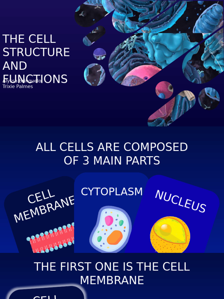 Group 1 Bio CELLS | PDF | Cell (Biology) | Prokaryote