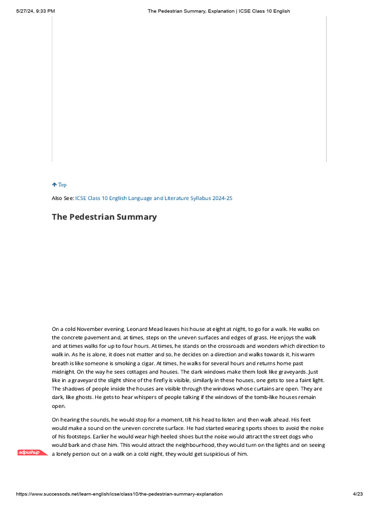 The Pedestrian | PDF