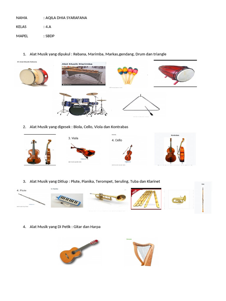 Tugas Alat Musik Aqila | PDF