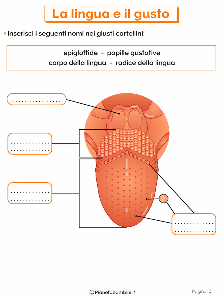 Schede Didattiche Lingua Gusto | PDF