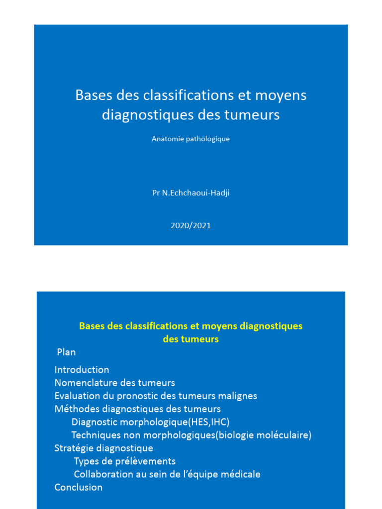Bases des classifications | PDF