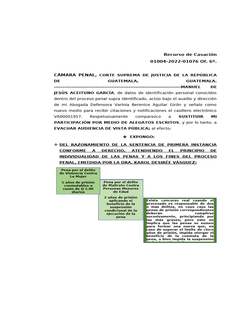 Error Jurídico en Sentencia Penal | PDF | Sentencia (ley) | Castigos