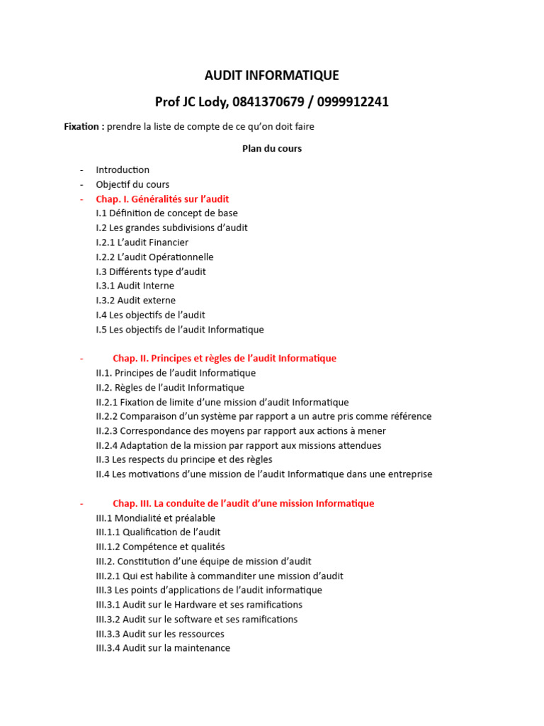 Audit Informatique | PDF