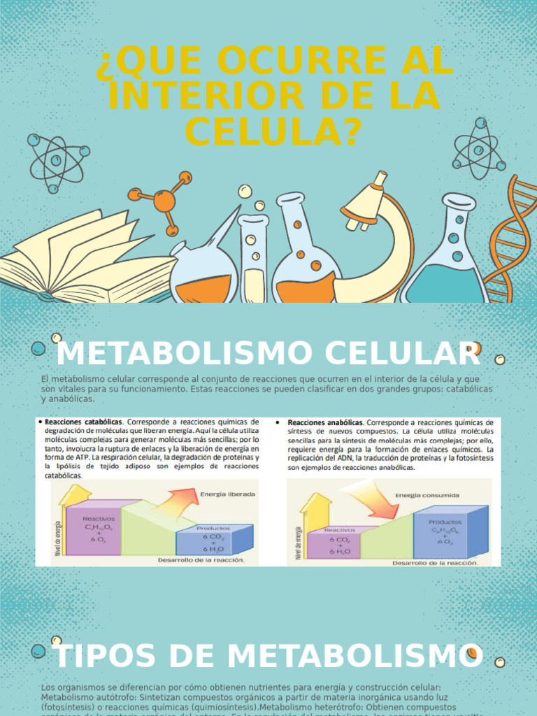 Diapositivas Cta | PDF