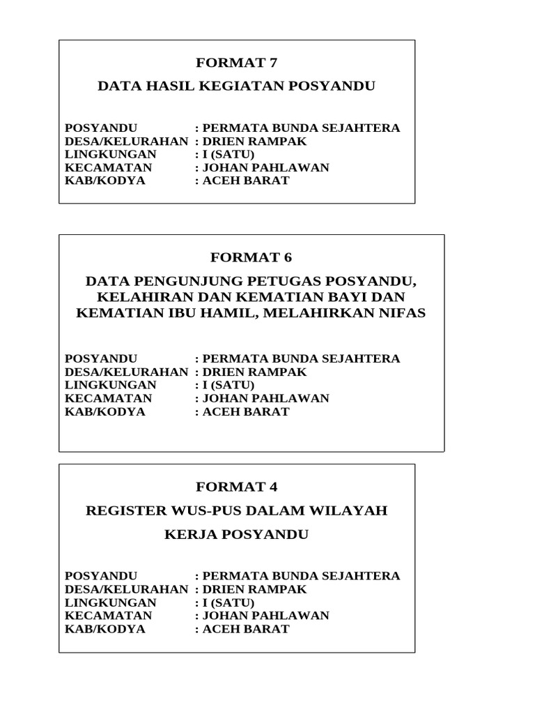 Format Posyandu | PDF