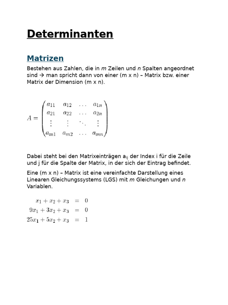 Determinanten - Kopie | PDF