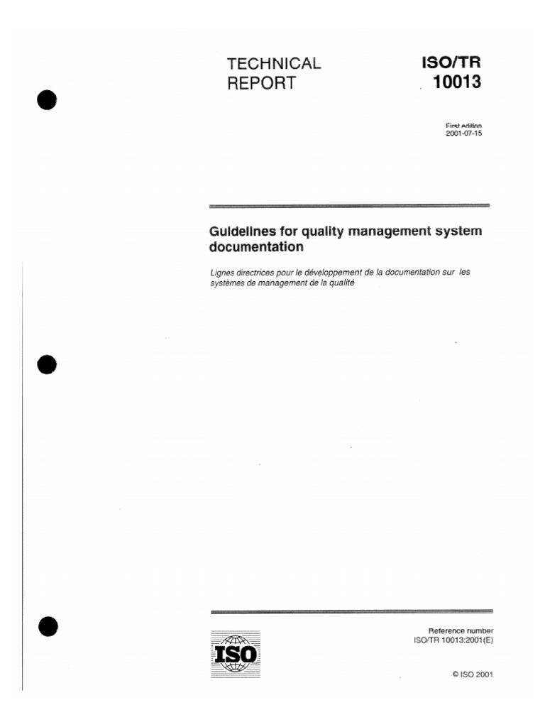 ISO TR 10013-2001 Sistema de Gerenciamiento de La Calidad. Lineamientos ...