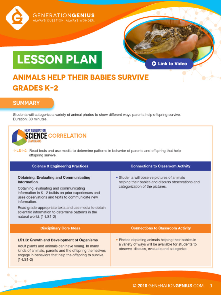 Animals Help Babies Survive Lesson Plan GG | PDF