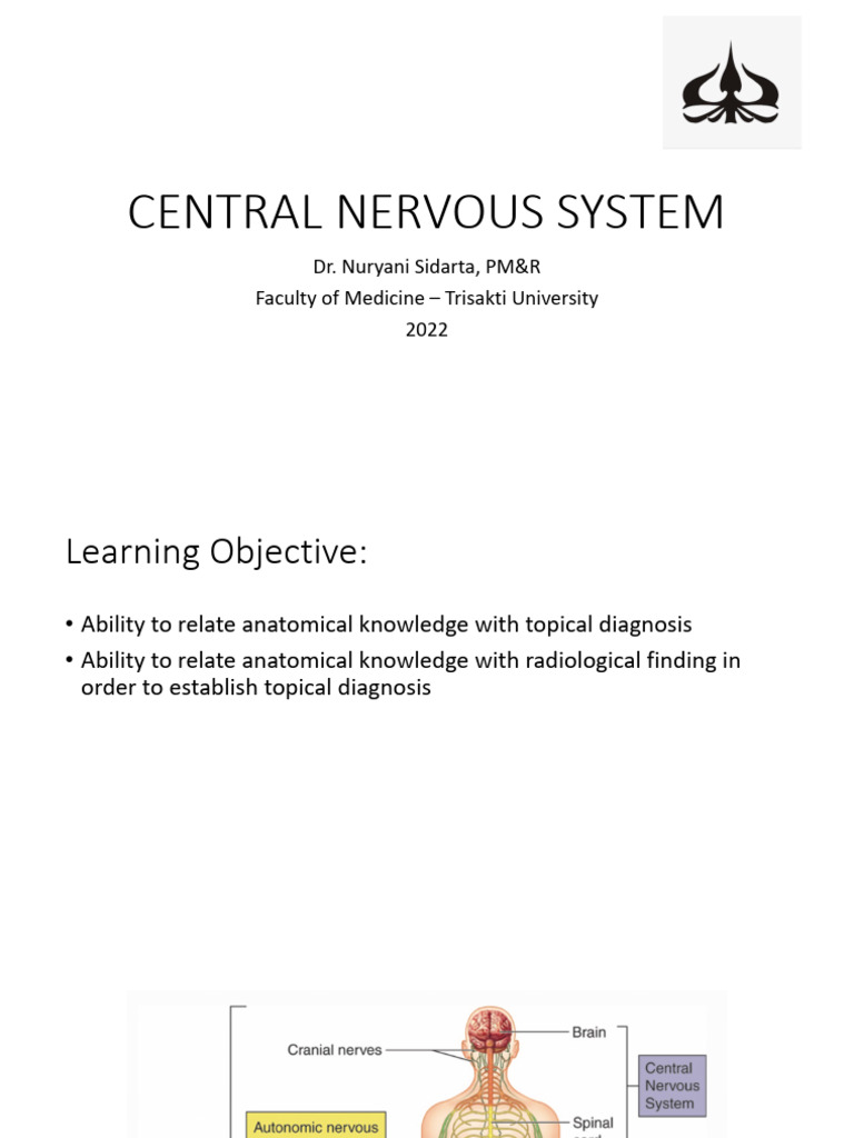 Central Nervous System | PDF