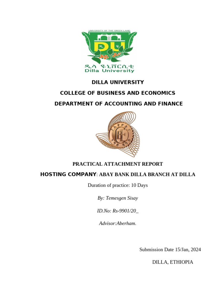 Abay Report Edite | PDF