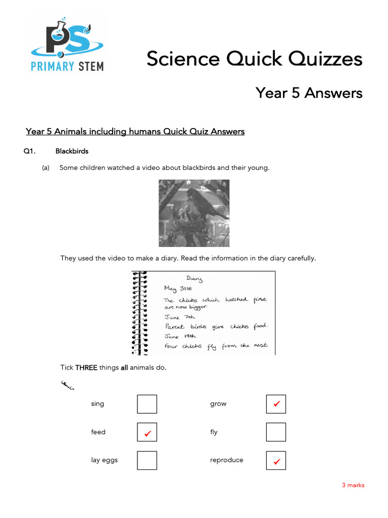 Quick-Quiz Y5 Answers PSTEM | PDF