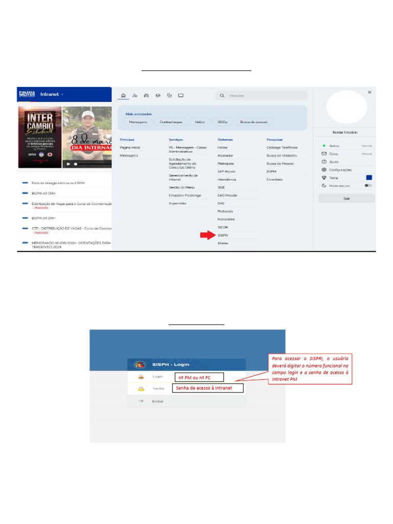 ANEXO ÚNICO - Tutorial Do SISPRI | PDF