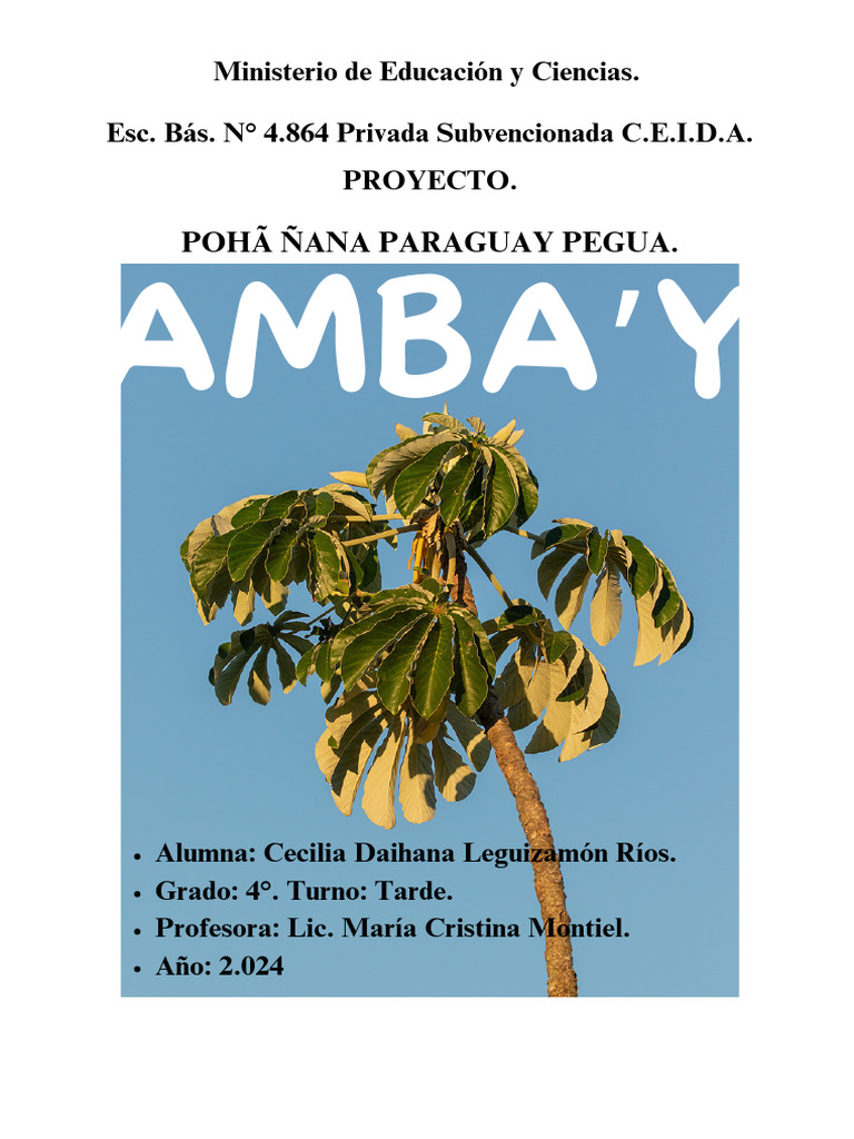 AMBAY | PDF