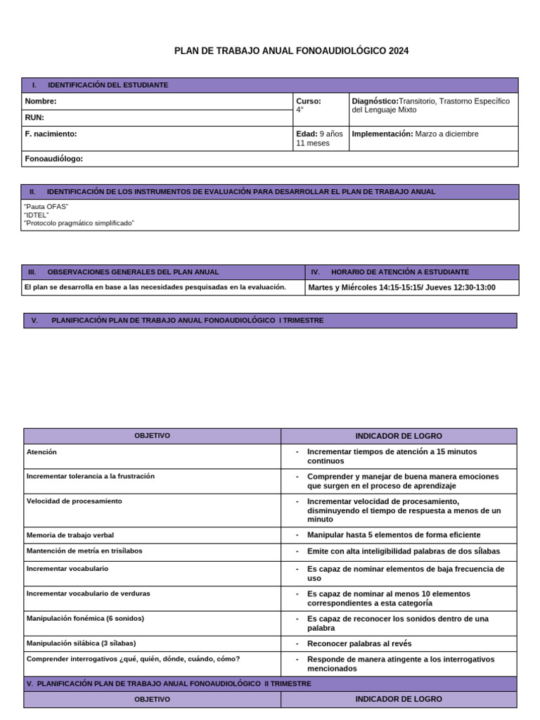 Formato Plan de Trabajo Anual Fonaudióloga Pie | PDF