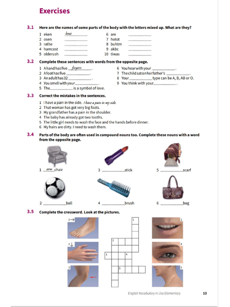 Parts of Body Vocab | PDF