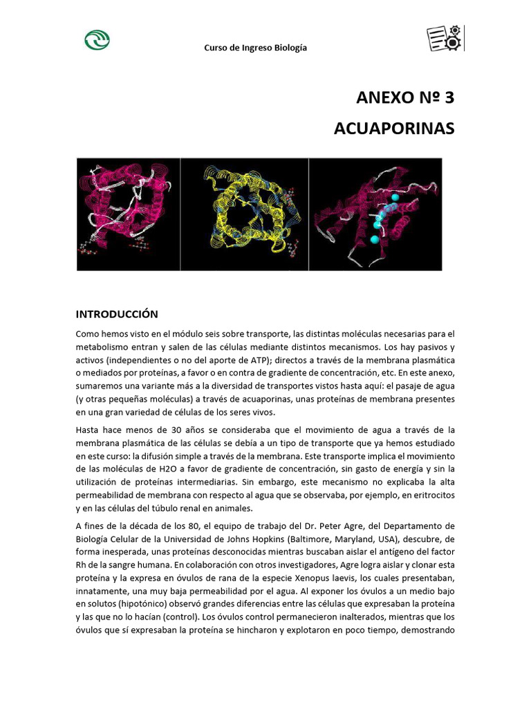 ANEXO-N--3-AQUAPORINAS | PDF