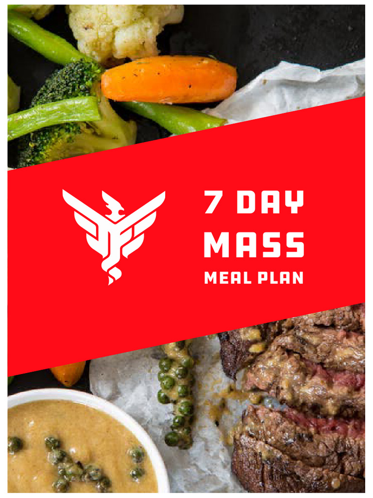 JTM FIT Mass Meal Plan | PDF