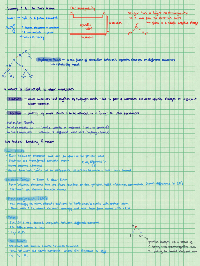 Biochemistry Task 1 | PDF