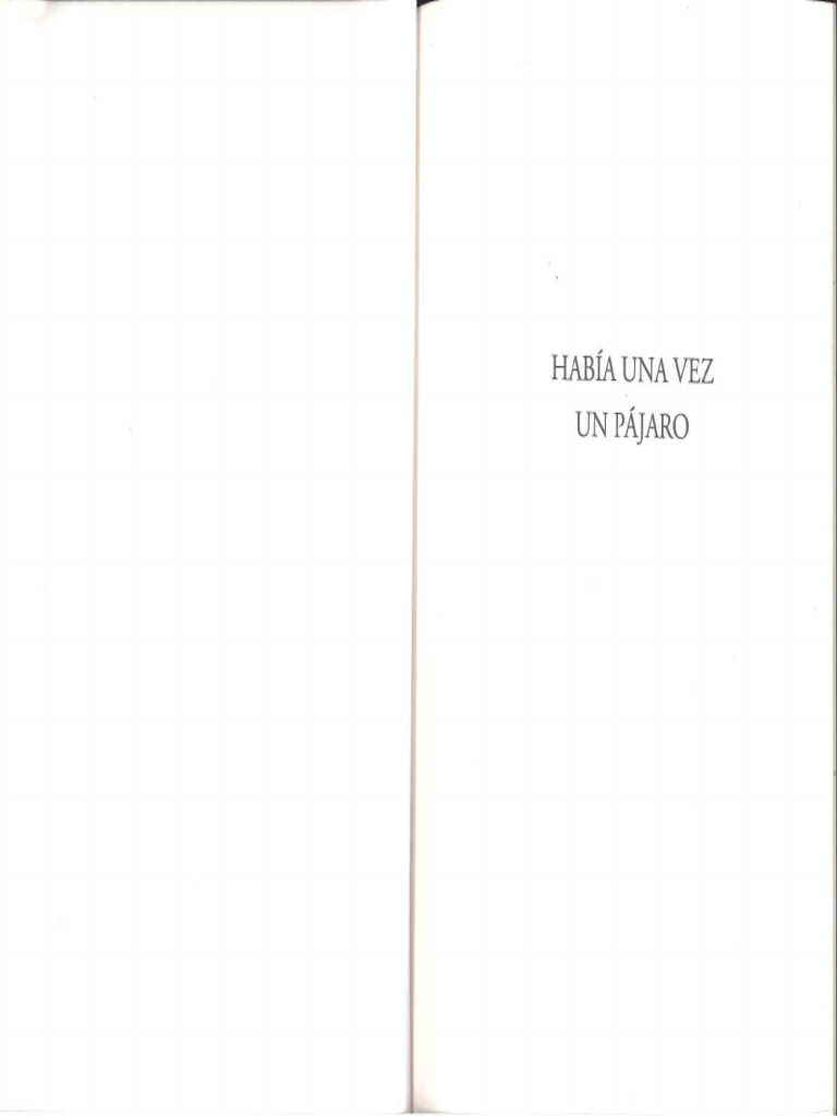 Hab-A Una Vez Un P-Jaro-Alejandra Costamagna | PDF