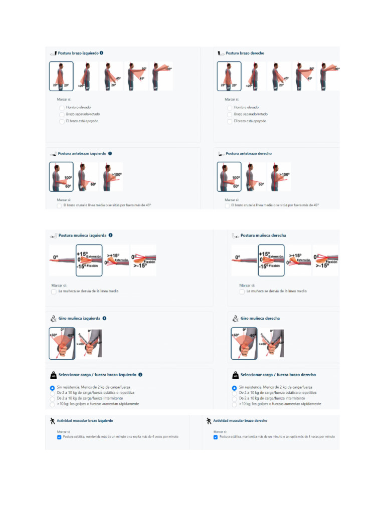 Metodo RULA y Checklist OCRA | PDF