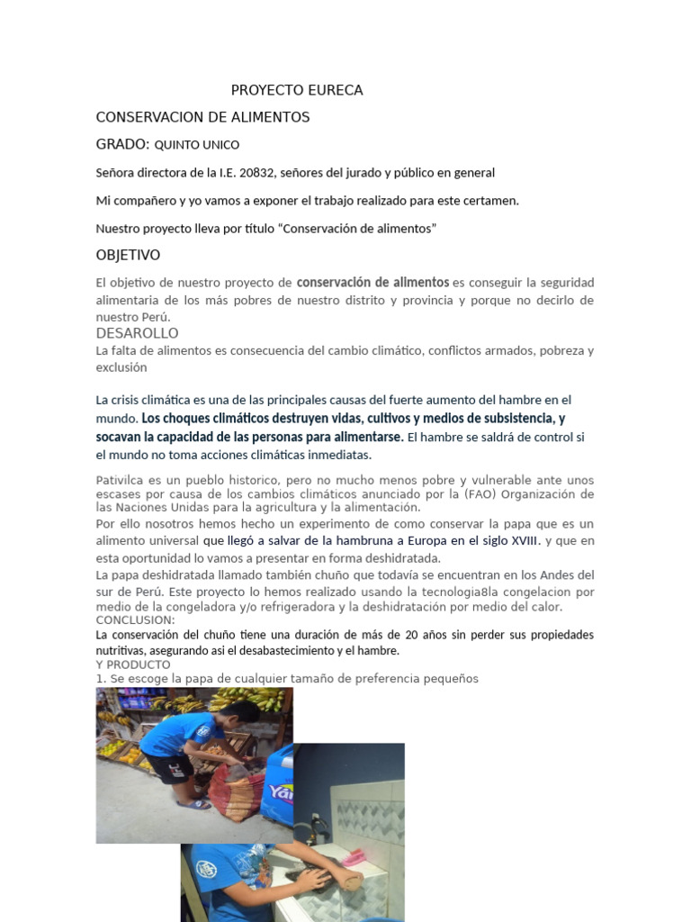 Proyecto Eureca | PDF