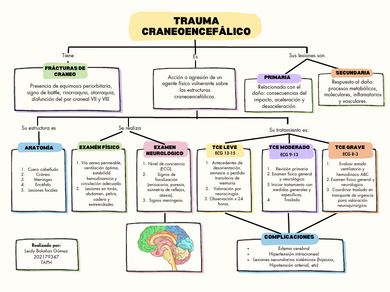 Mapa Conceptual TCE | PDF