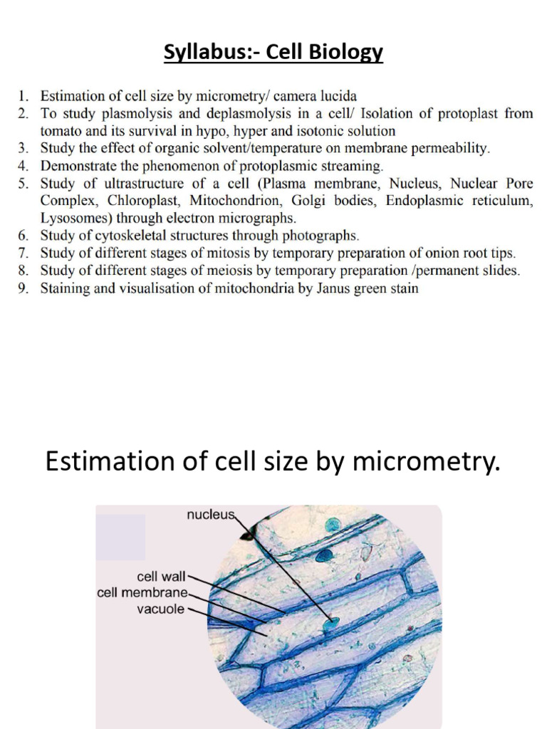 2 Cell Bio. Experiment-1 | PDF