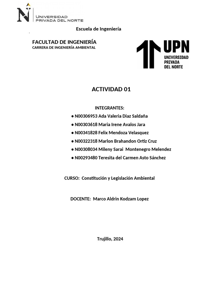 ACTIVIDAD 01_ CONSTITUCIÓN | PDF